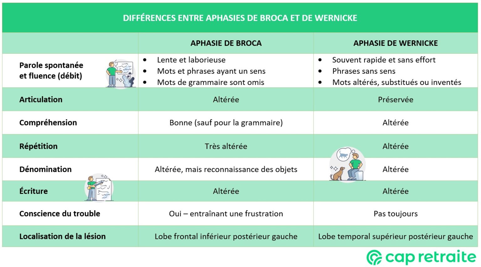L’aphasie de Broca : définition, symptômes et traitement - Cap Retraite