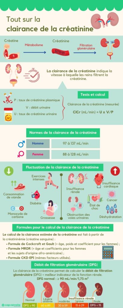 Tout sur la clairance de la créatinine : calcul et norme