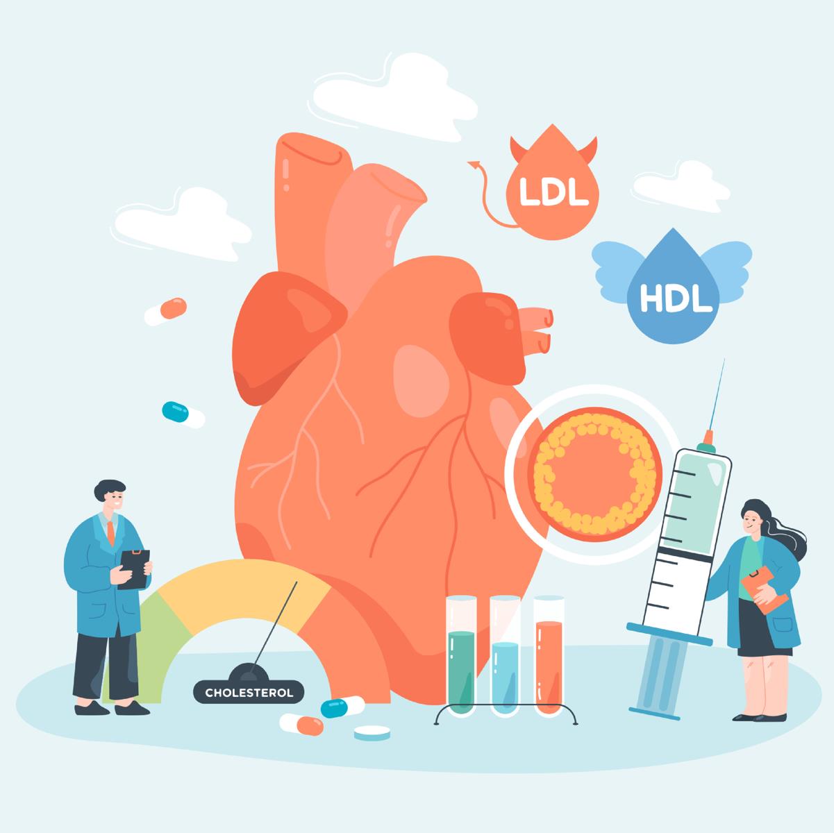 Guide de l’hypercholestérolémie ou taux de cholestérol élevé